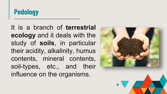 Introduction to Ecology PPT | PPTX