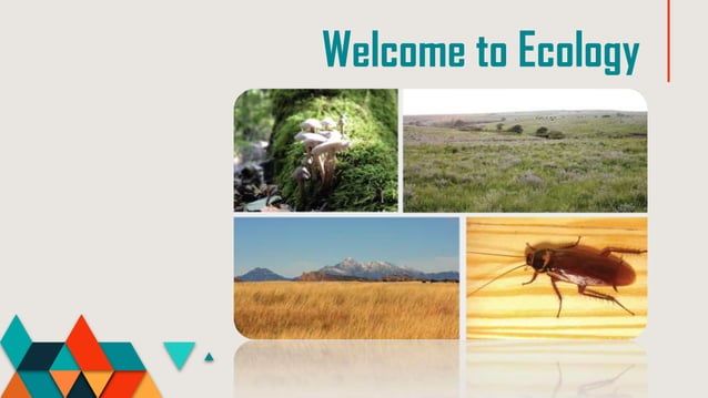 Introduction to Ecology PPT | PPTX