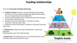 Introduction to ecology | PPTX