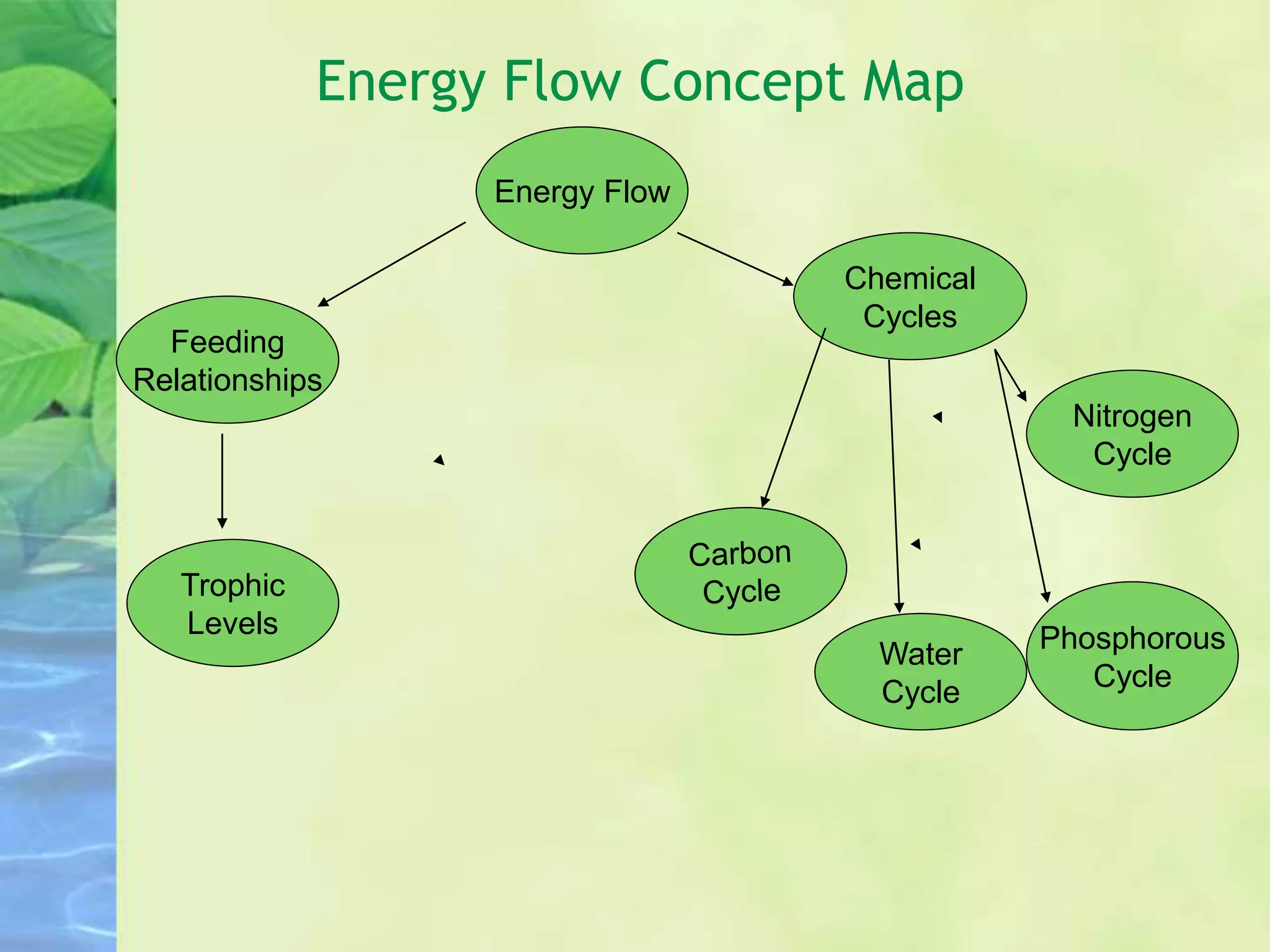 Introduction to ECOLOGY.ppt