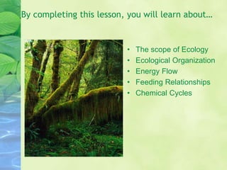 Introduction to ECOLOGY.ppt