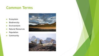 Introduction to Ecology.pptx