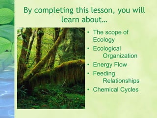 Introduction to Ecology.ppt