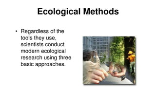 Introduction To Ecology | PPT