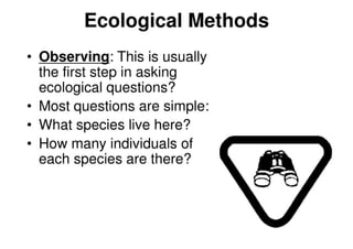 Introduction To Ecology | PDF