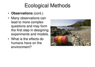 Introduction To Ecology | PDF