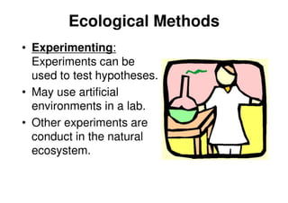 Introduction To Ecology | PDF