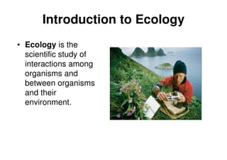 Introduction To Ecology | PDF | Biological Sciences | Science