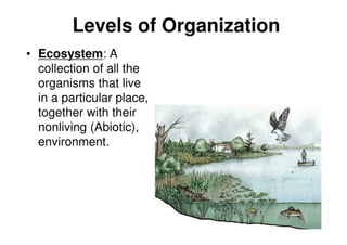 Introduction To Ecology | PPT