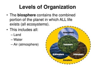 Introduction To Ecology | PPT