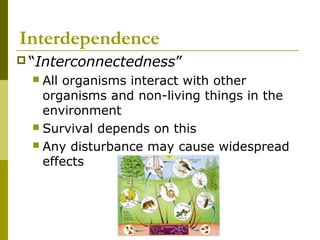 Introduction to ecology 2 | PPT