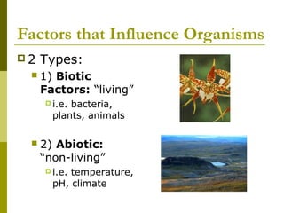 Introduction to ecology 2 | PPT