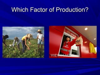 Introduction to economics | PPT
