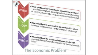 Introduction to economics | PPTX