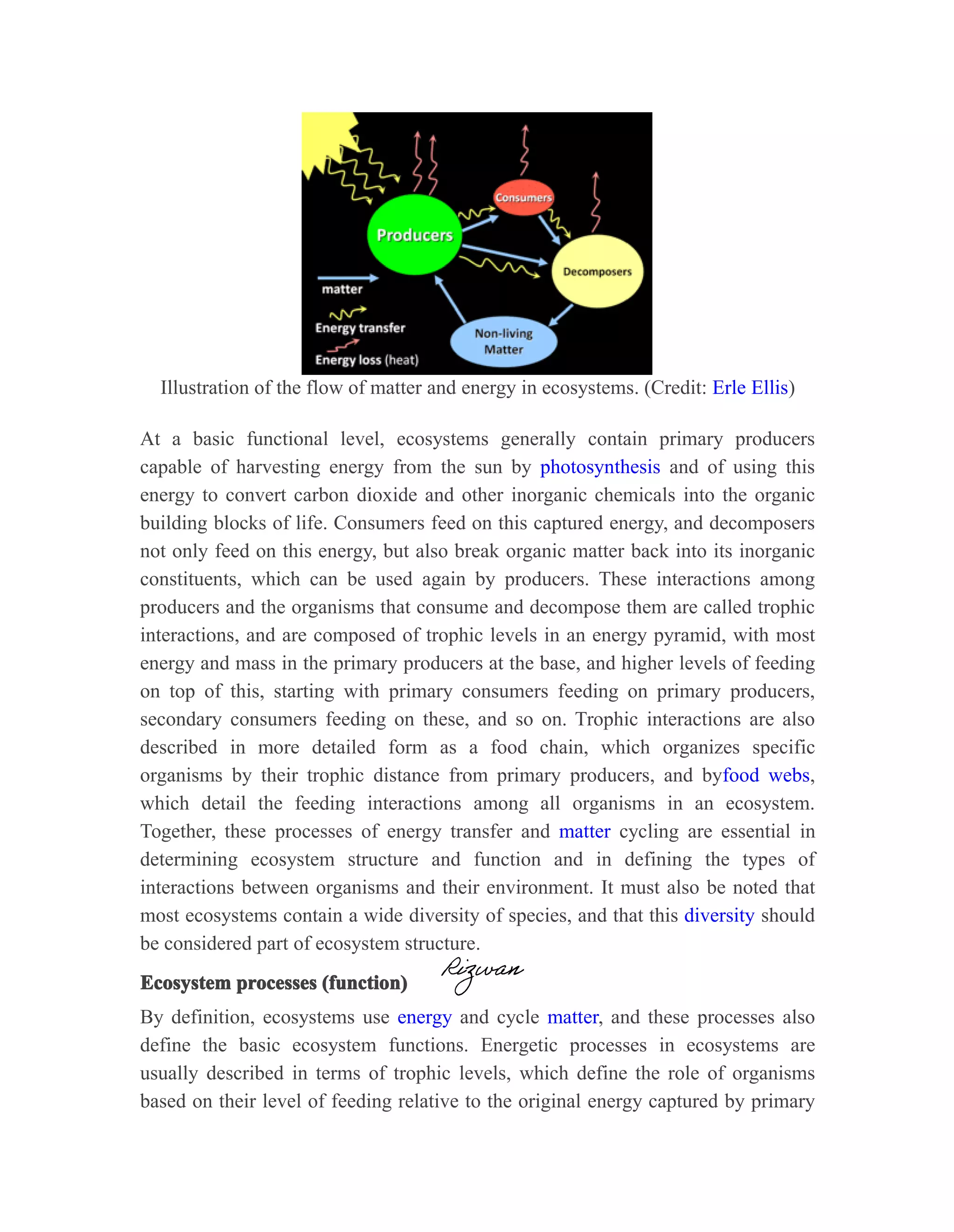 Introduction to ecosystem | PDF | Biological Sciences | Science