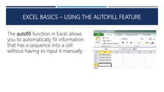 Free Excel Mini Tutorial | PPTX | Technology & Computing