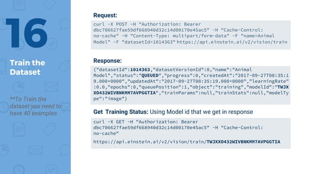 Introduction To Einstein Vision - Zen4orce | PPT