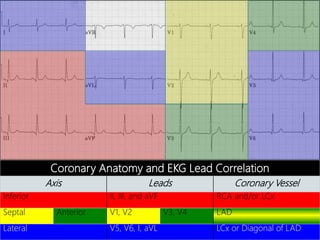 Introduction to EKG Interpretation | PPT