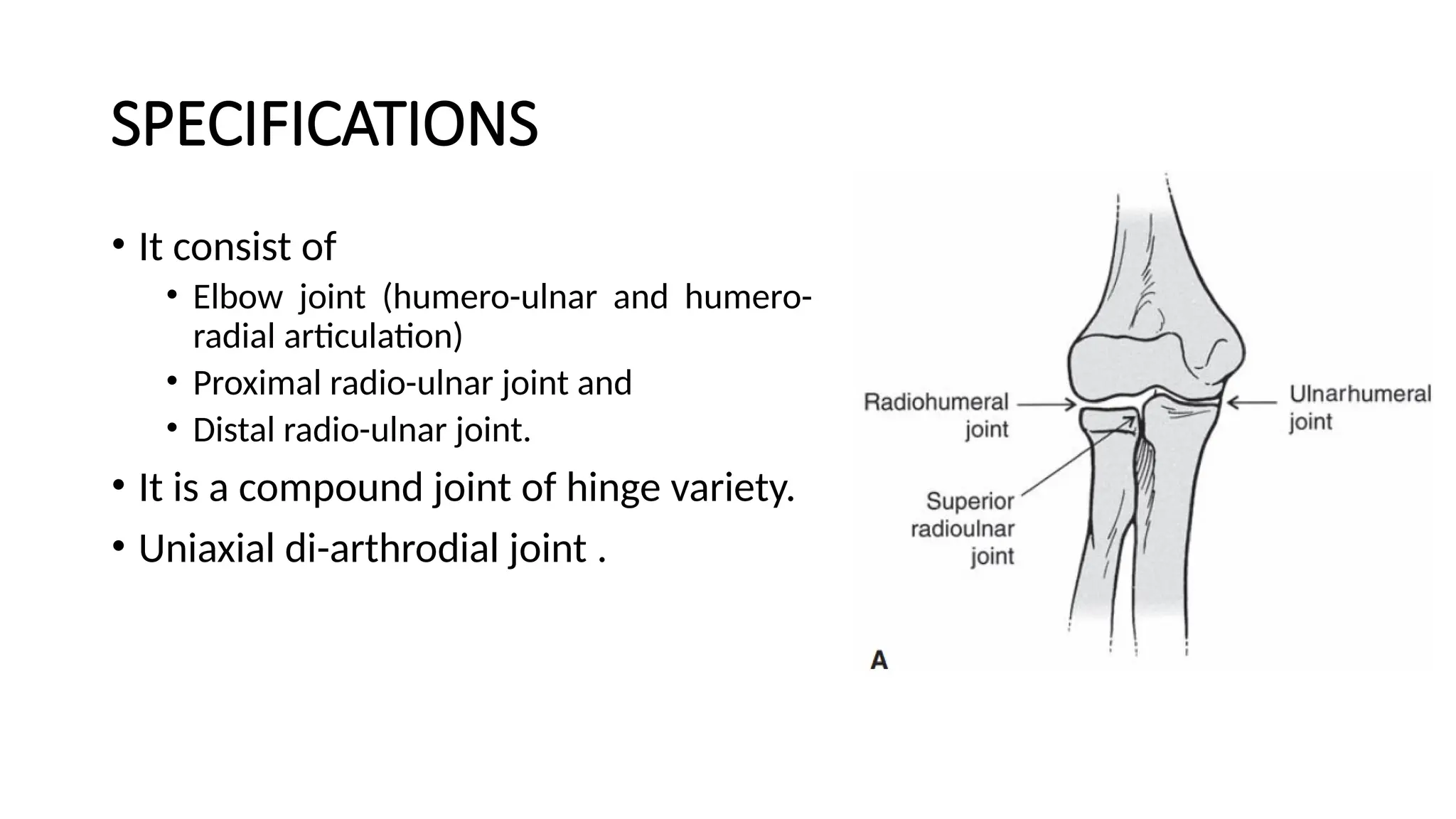 INTRODUCTION TO THE BIOMECHANICS OF ELBOW COMPLEX.pptx