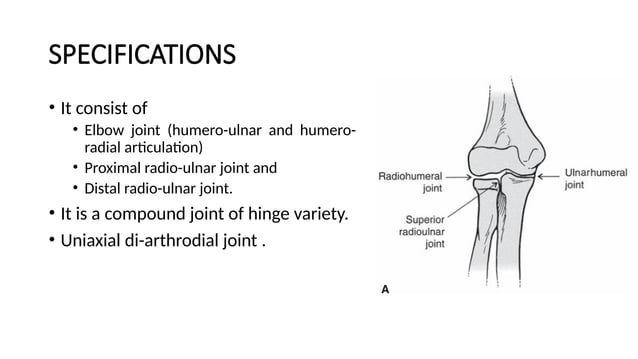 INTRODUCTION TO THE BIOMECHANICS OF ELBOW COMPLEX.pptx