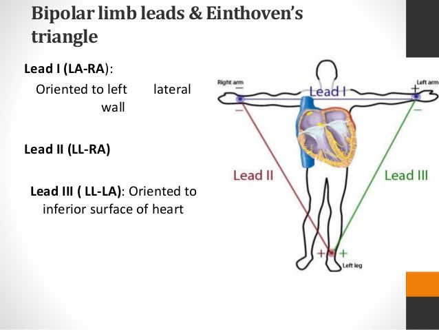 Introduction to Electrocardiography