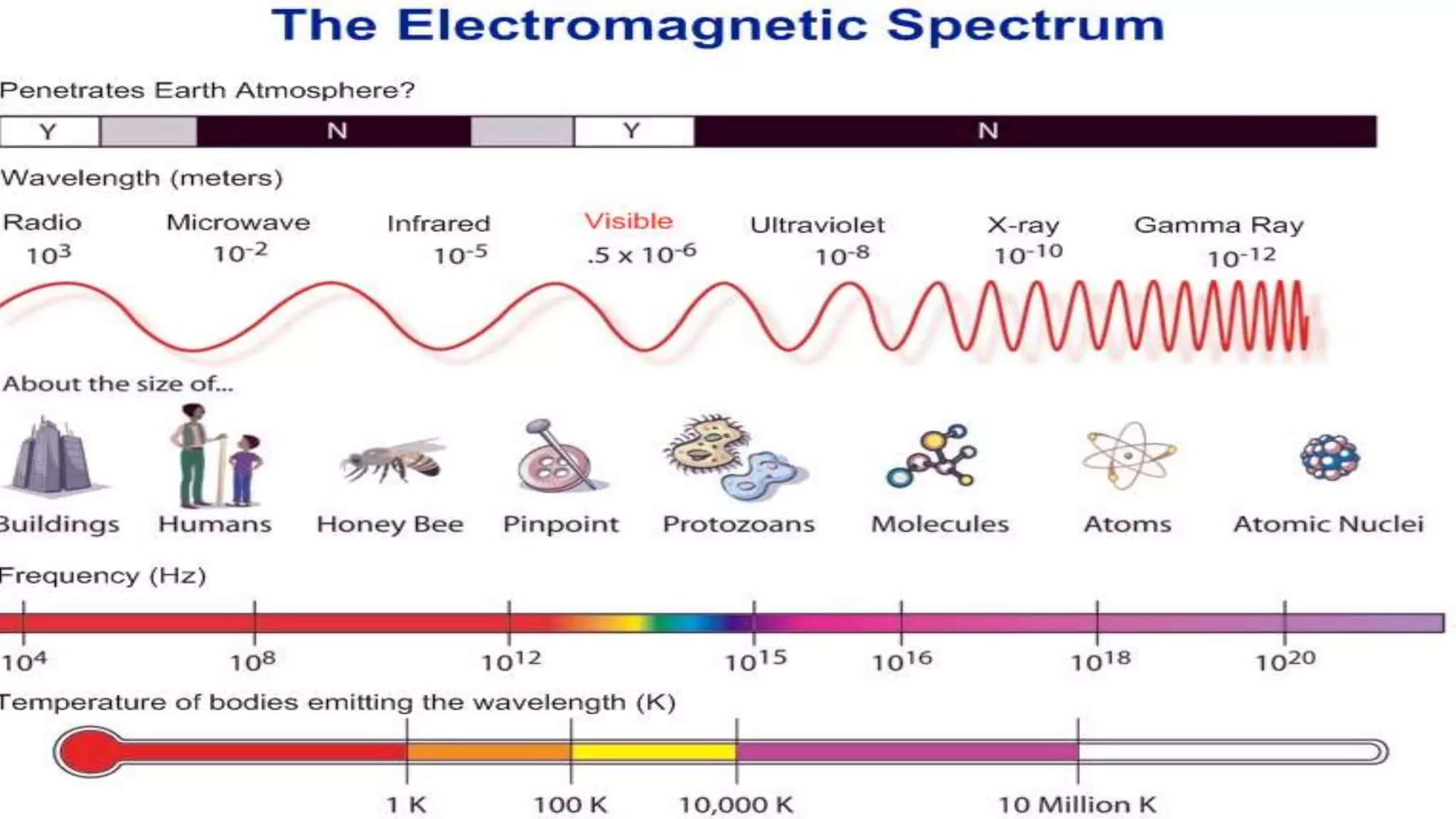 Introduction to Electromagnetic Spectrum LESSON 1.pptx | Physics | Science