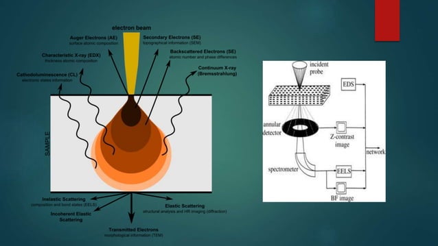 Introduction to electron microscope | PPTX | Chemistry | Science