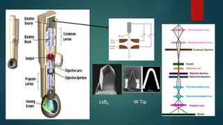 Introduction to electron microscope | PPTX | Chemistry | Science