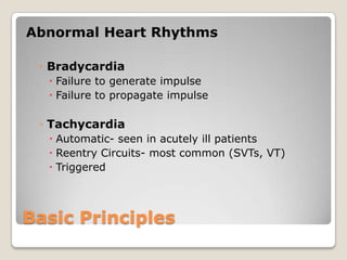 Introduction To Electrophysiology | PPT