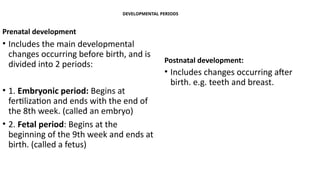 INTRODUCTION TO THE HUMAN EMBRYOLOGY.pptx