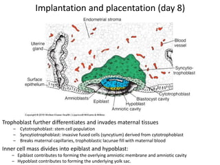 Introduction to embryology | PPTX