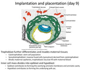 Introduction to embryology | PPTX