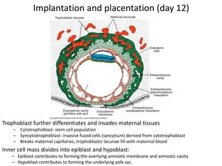 Introduction to embryology | PPTX
