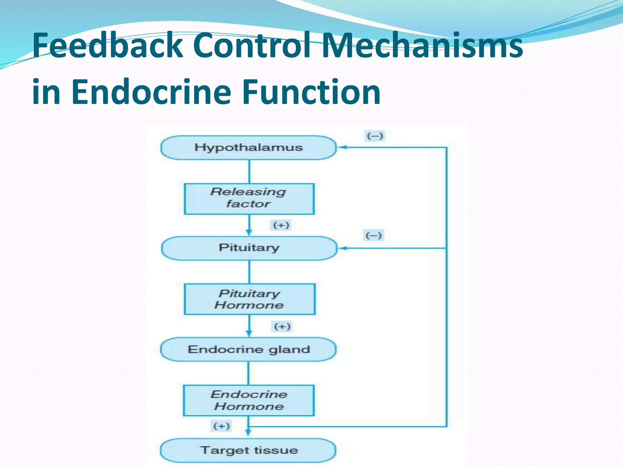 Introduction to Endocrine.pptx