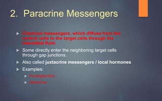 Introduction_to_Endocrinology.pptx