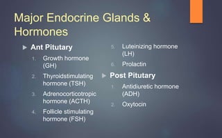 Introduction_to_Endocrinology.pptx