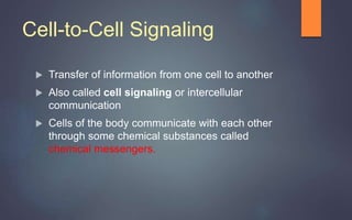 Introduction_to_Endocrinology.pptx