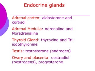 Introduction to Endocrinology | PDF