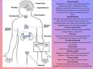 Introductiontoendocrinology-Lecture 1A.ppt