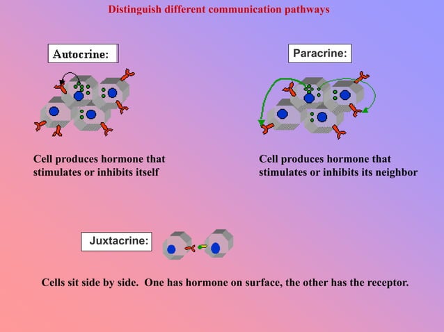 Introductiontoendocrinology-Lecture 1A.ppt