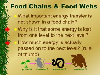 Introduction to energy flow | PPT