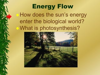 Introduction to energy flow | PPTX