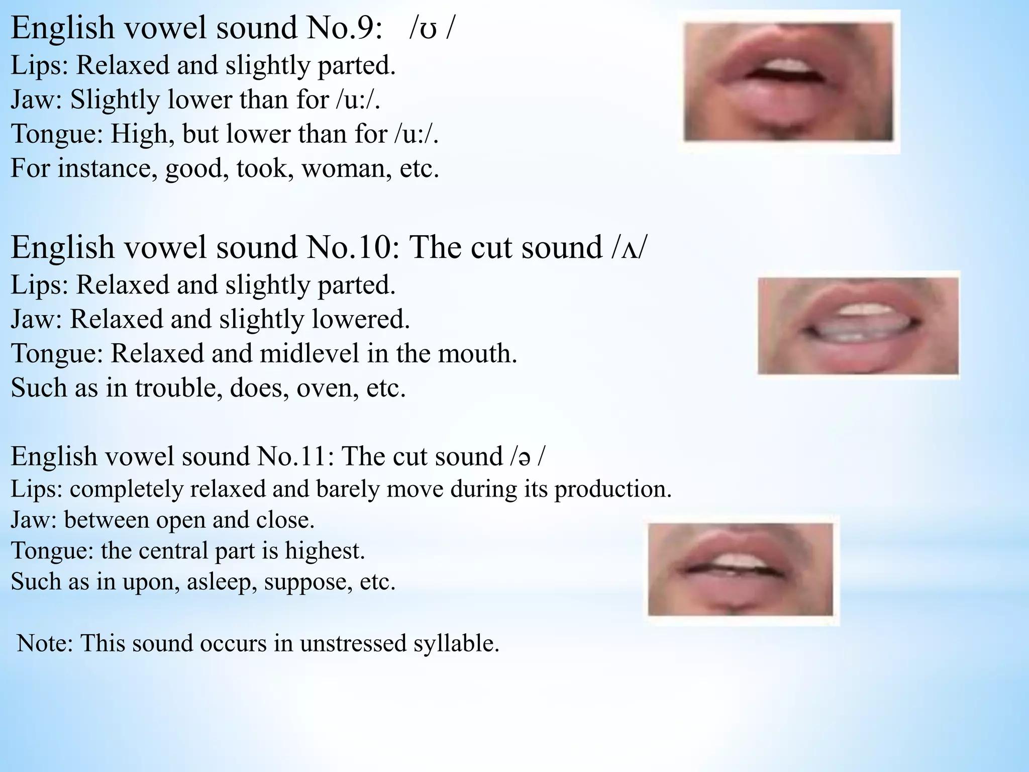 Introduction to english phonetics | PPTX