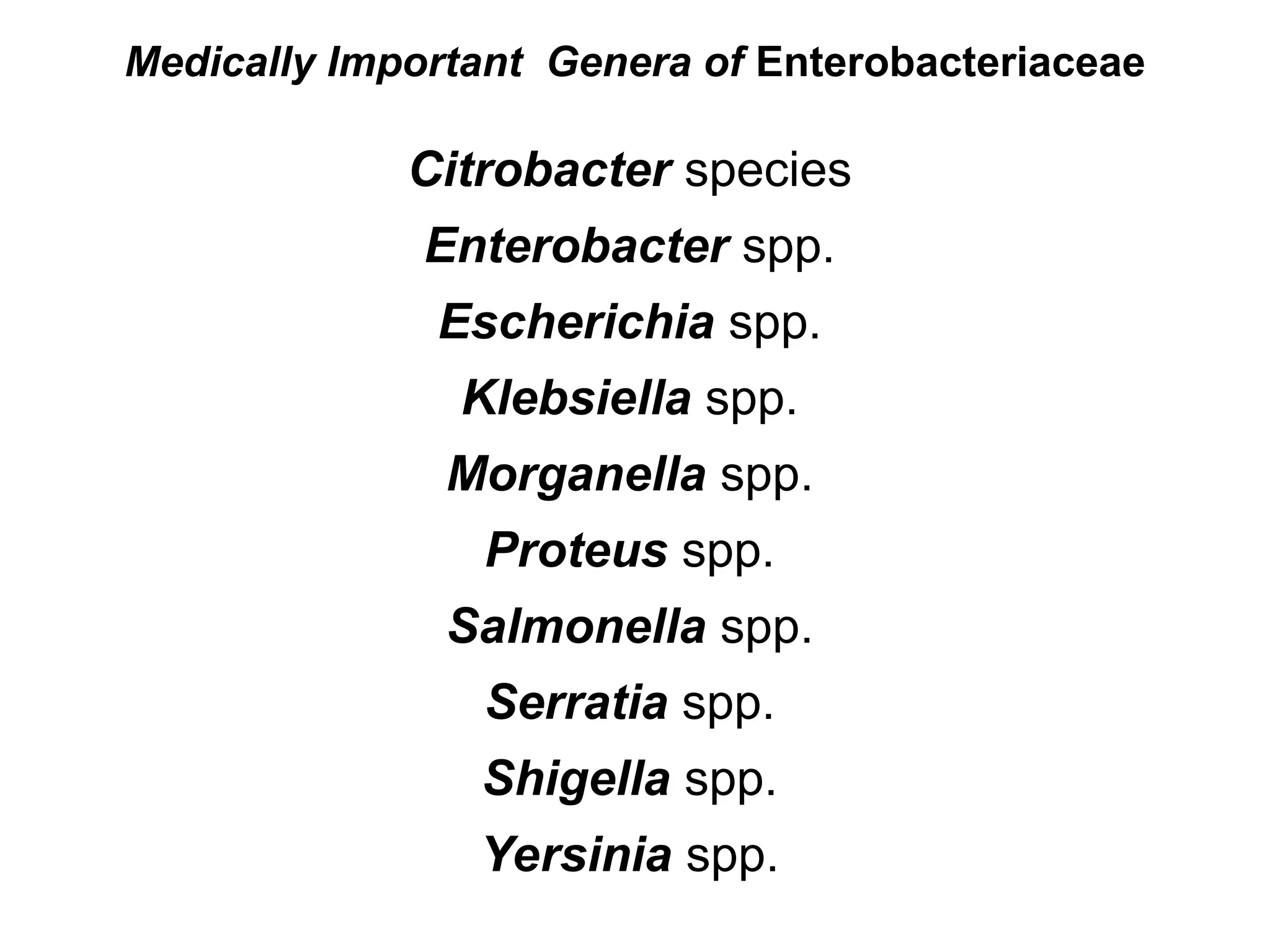 INTRODUCTION TO ENTEROBACTERIACEAE-ppt-1.ppt