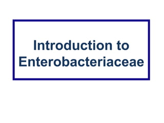 INTRODUCTION TO ENTEROBACTERIACEAE-ppt-1.ppt