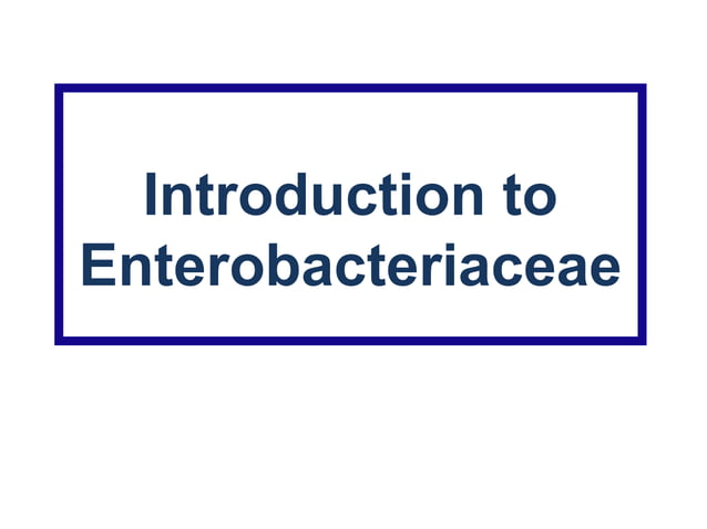 INTRODUCTION TO ENTEROBACTERIACEAE-ppt-1.ppt