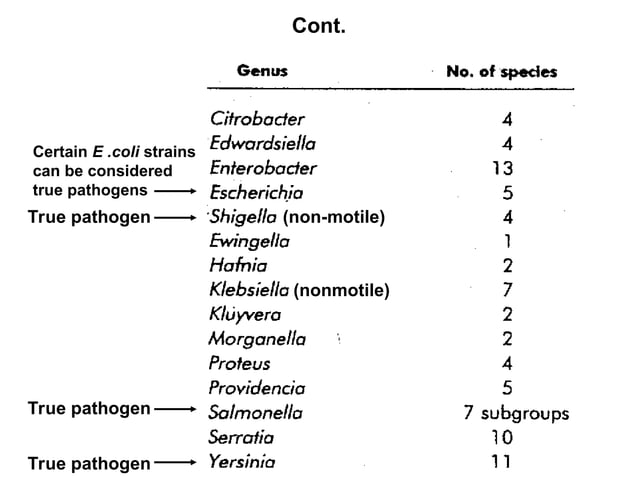 INTRODUCTION TO ENTEROBACTERIACEAE-ppt-1.ppt