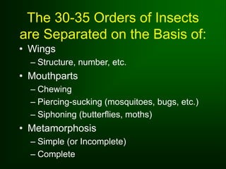 A detailed introduction to entomology.ppt