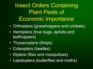 A detailed introduction to entomology.ppt