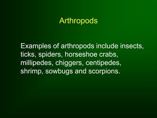A detailed introduction to entomology.ppt